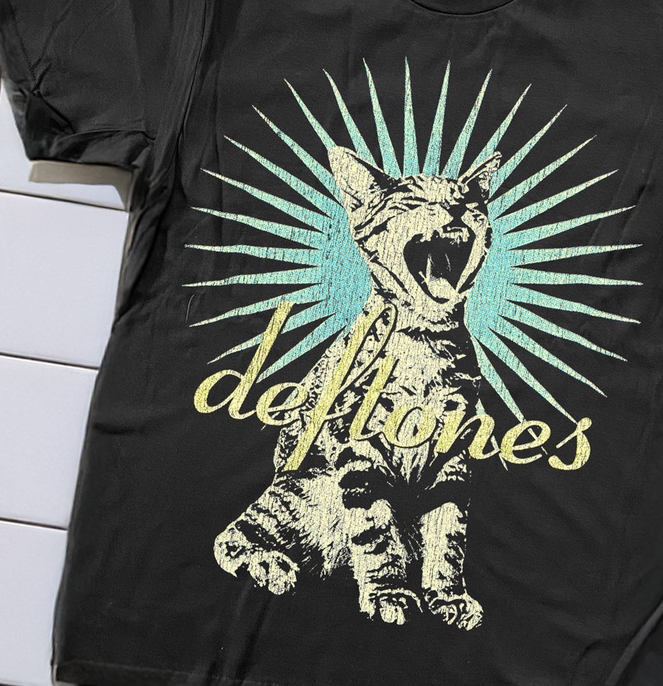90's Deftones Around The Fur Washed Black T-Shirt – Strike Anywhere Vintage